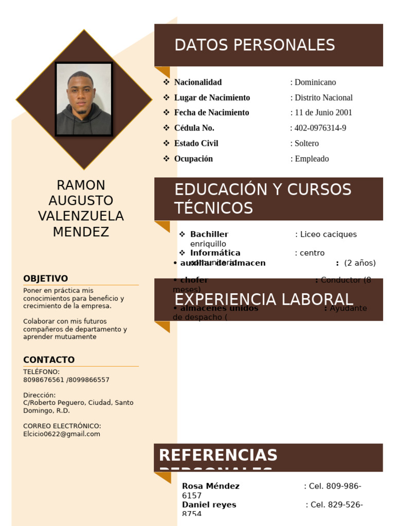 Curriculum JONATHAN | PDF