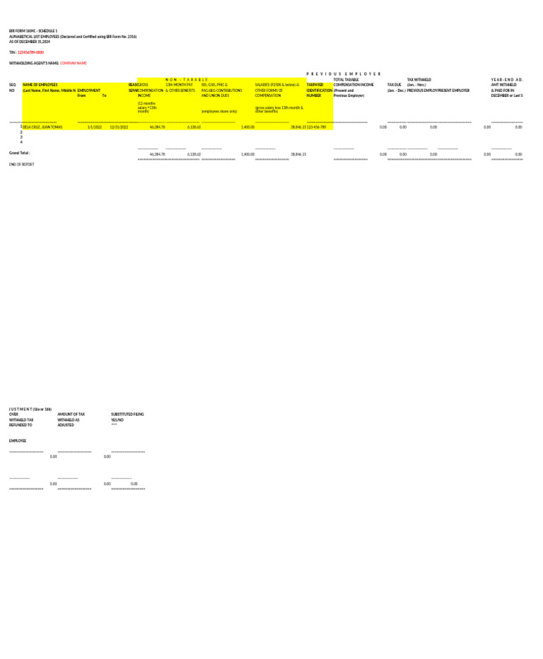 List of Employee - Bir Format | PDF | United States Law | Economies