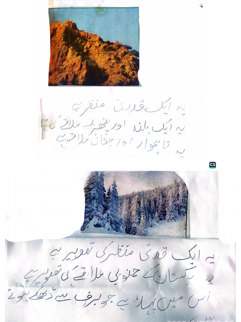 Urdu Assignment | PDF