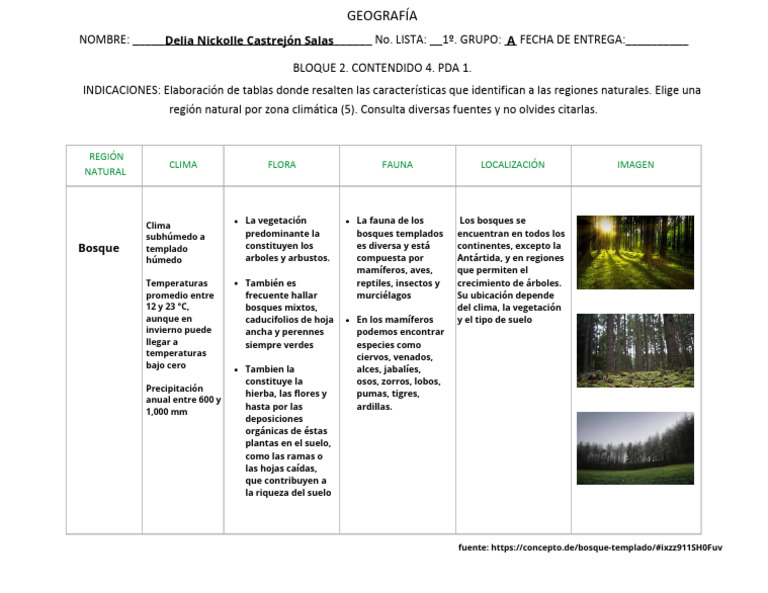 Características del Bosque Templado | PDF | Ciencias de la Tierra