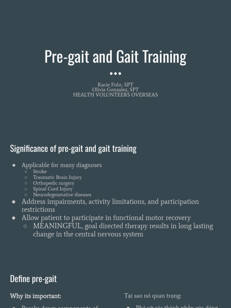 HVO Inservice Pre-Gait and Gait | PDF