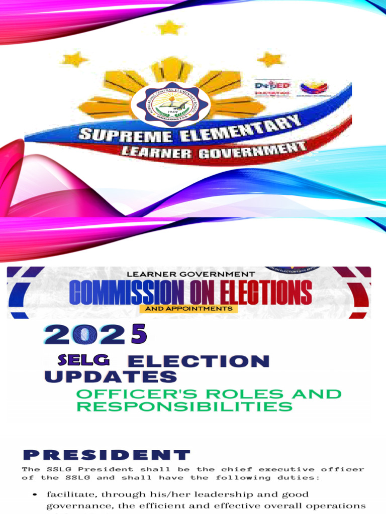 Selg Roles and Responsibilities | PDF