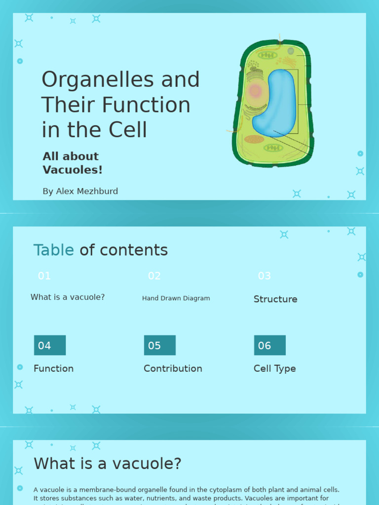 Alexandra Mezhburd - Vacuoles | PDF | Vacuole | Cell (Biology)