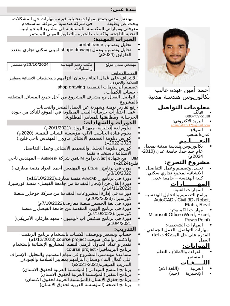 CV - Ahmed Ameen | PDF