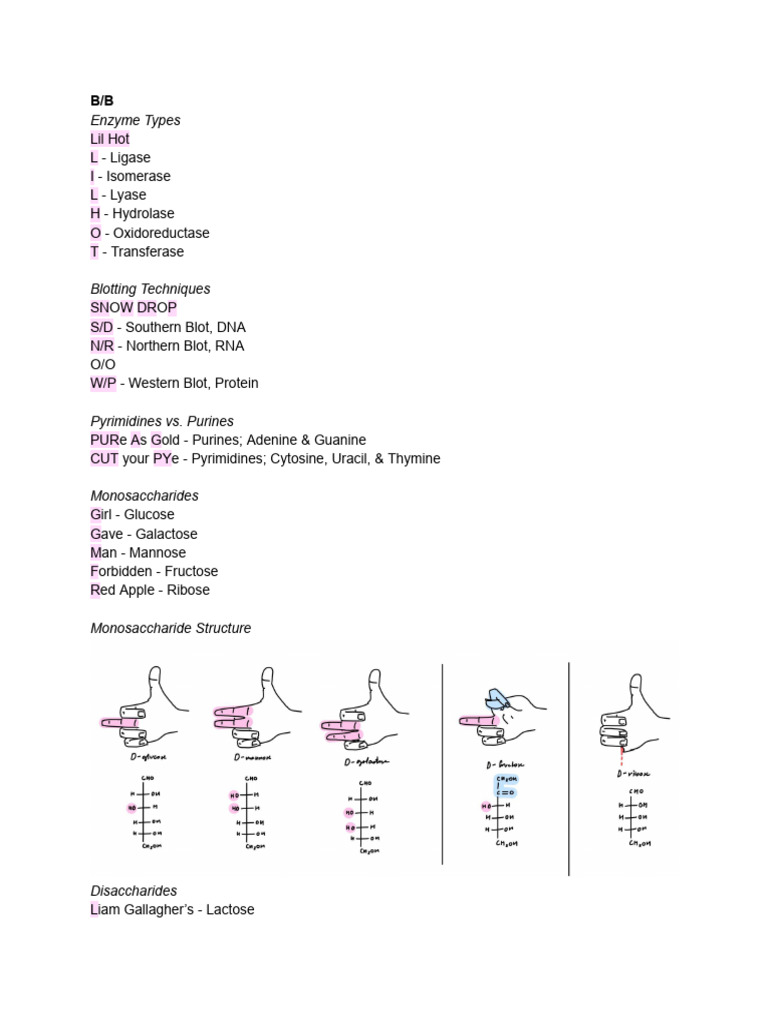 MCAT Mnemonics + Memorization | PDF | Radioactive Decay | Nuclear Physics