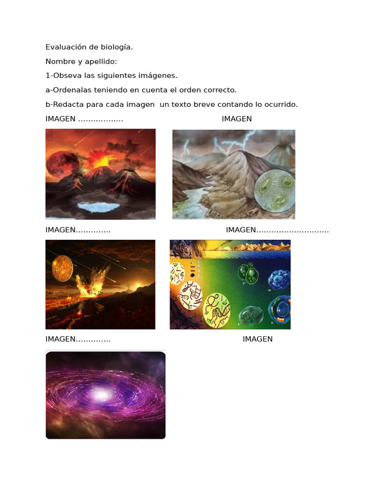 Tierra Primitiva y Primeras Celulas - Evaluacion | PDF