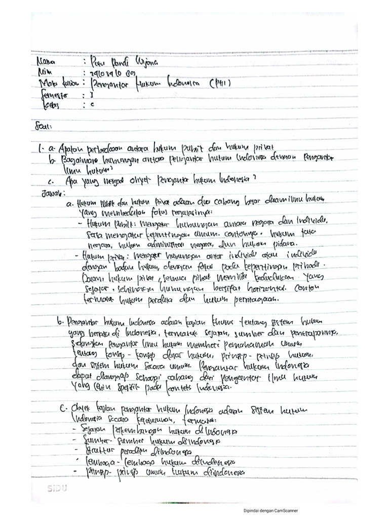 Phi Putu Randi Wijana C | PDF