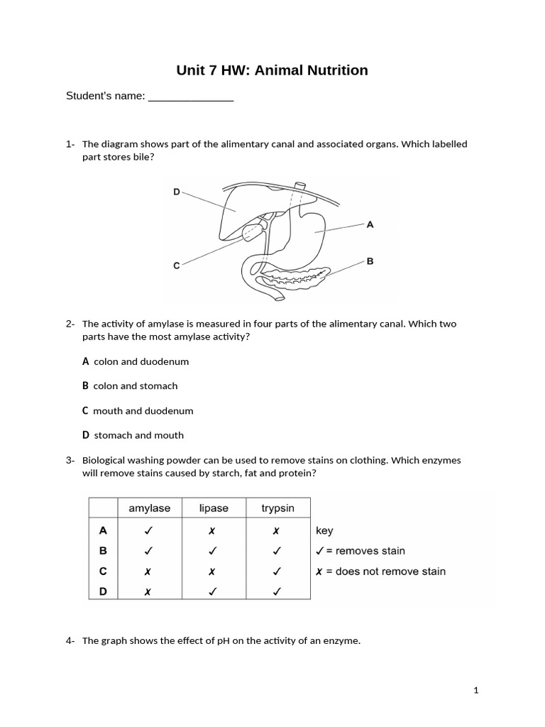 Animal Nutrition and Digestion Concepts | PDF | Digestion ...