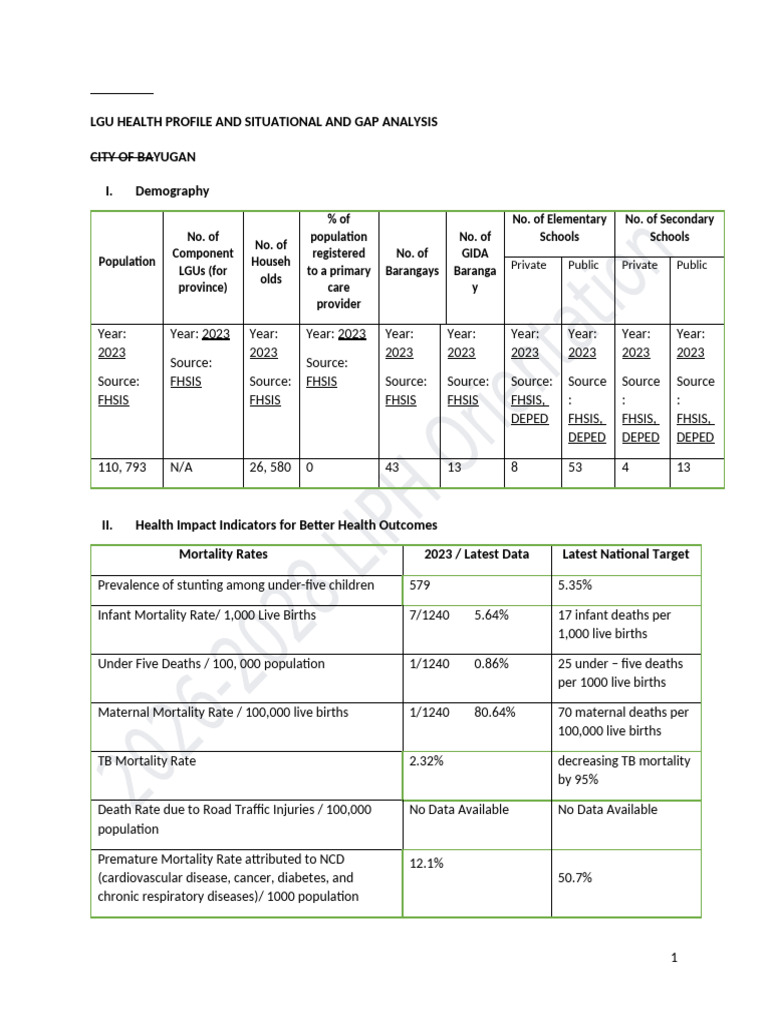 LGU Health Profile and Situational and Gap Analysis Bayugan City Final 2026 - 2028 | PDF ...