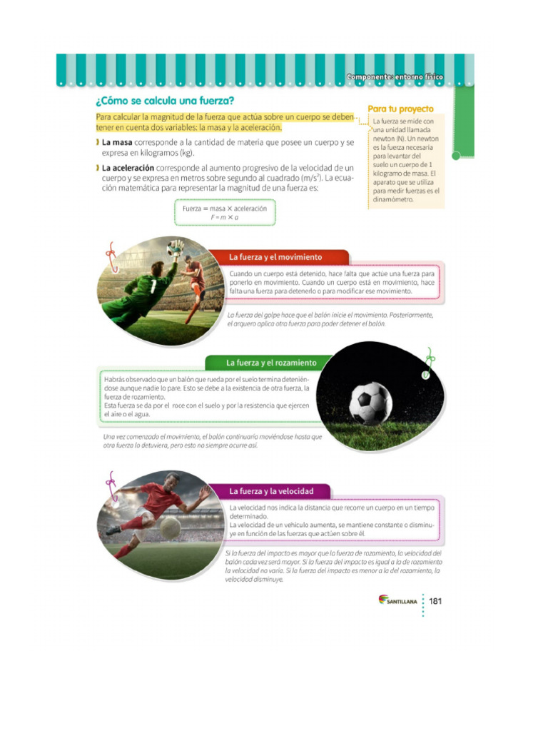 Ciencias 5 Saberes | PDF