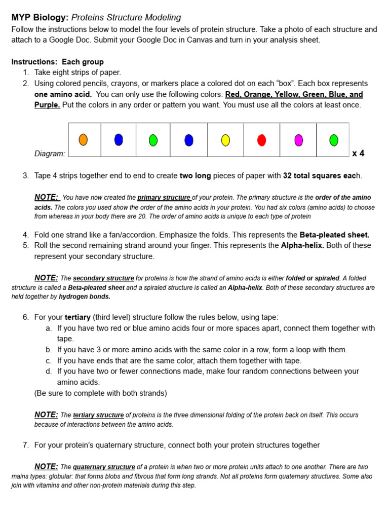 MYP Biology_ Proteins Structure Modeling | PDF | Proteins ...