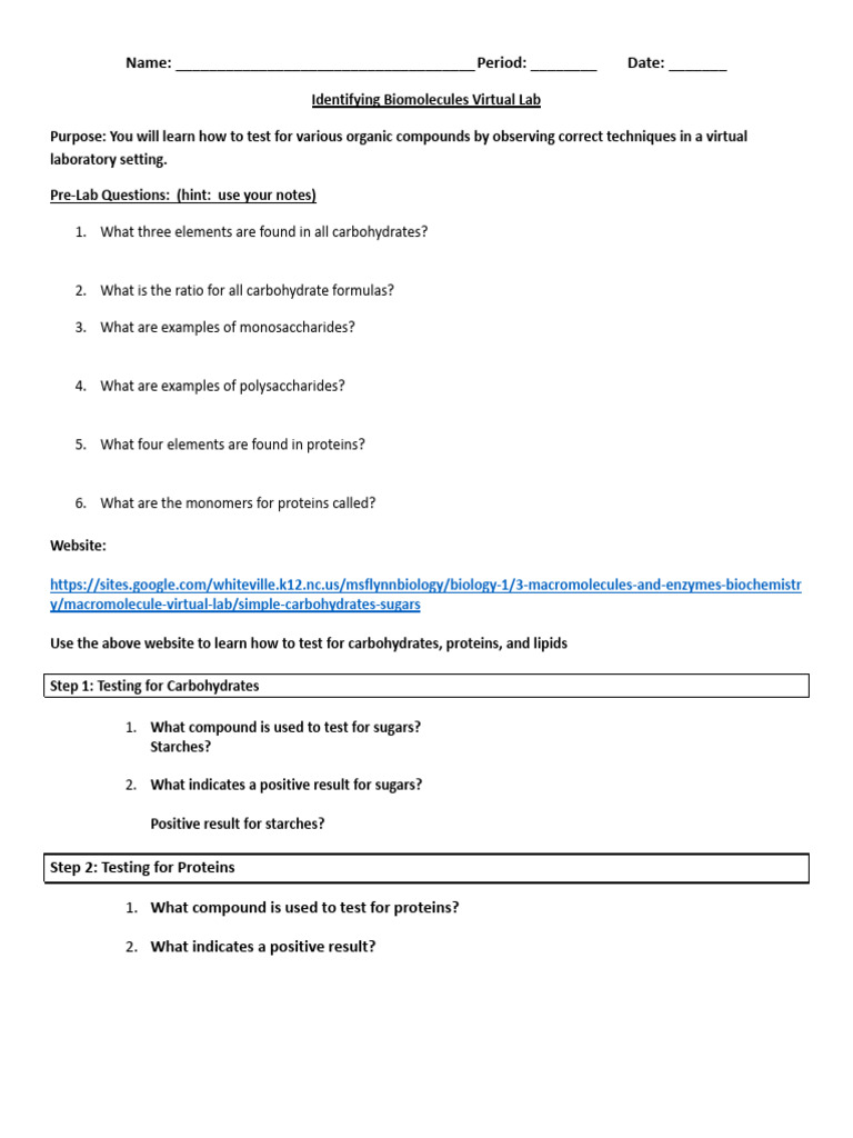 identifying_biomolecules_virtual_lab_REVISED 24 25 | PDF ...