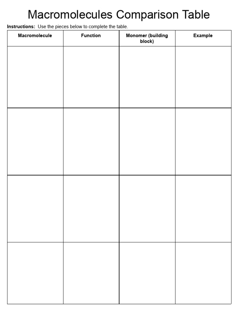Copy of Macromolecule Comparison Table | PDF