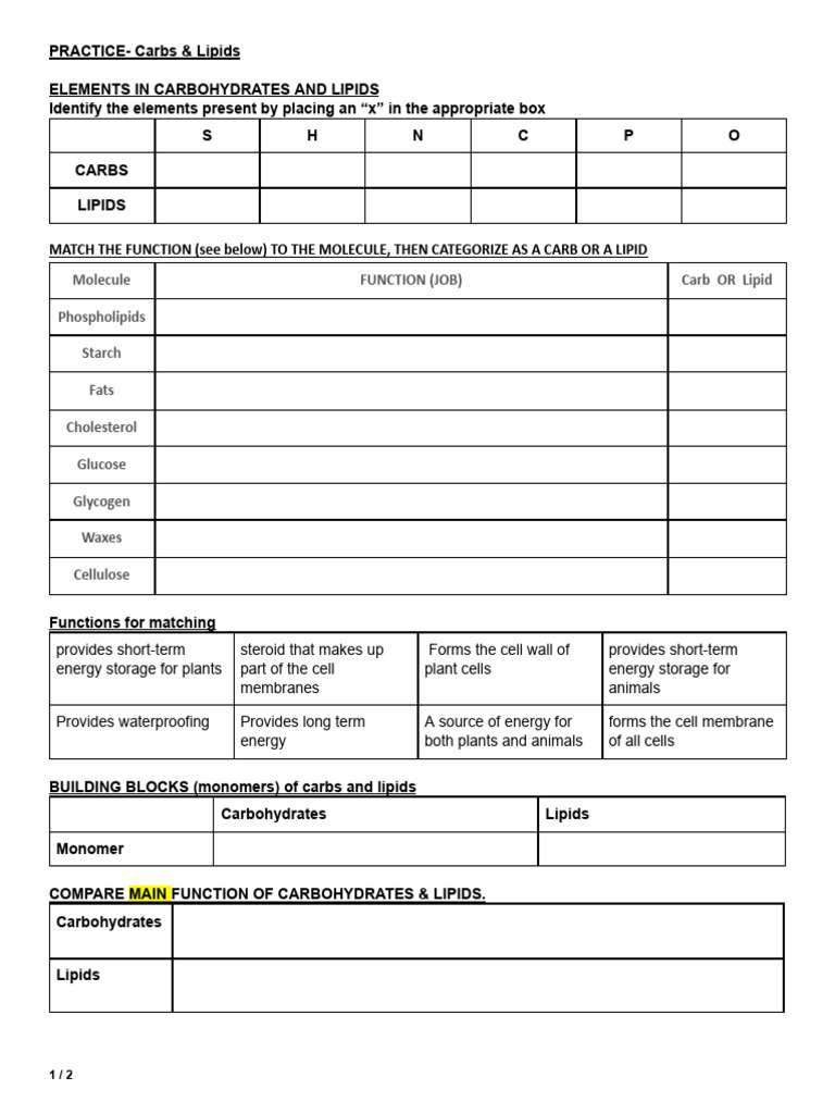 Bryson Slade - Practice Carbs & Lipids | PDF | Carbohydrates | Lipid