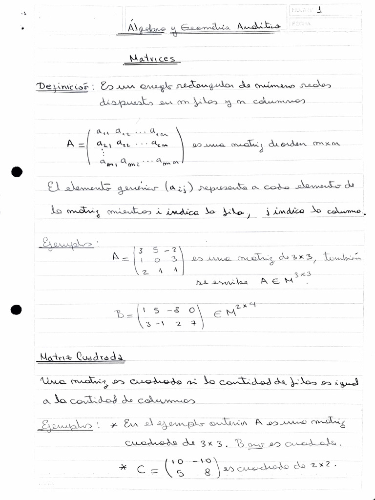 Álgebra Matrices | PDF