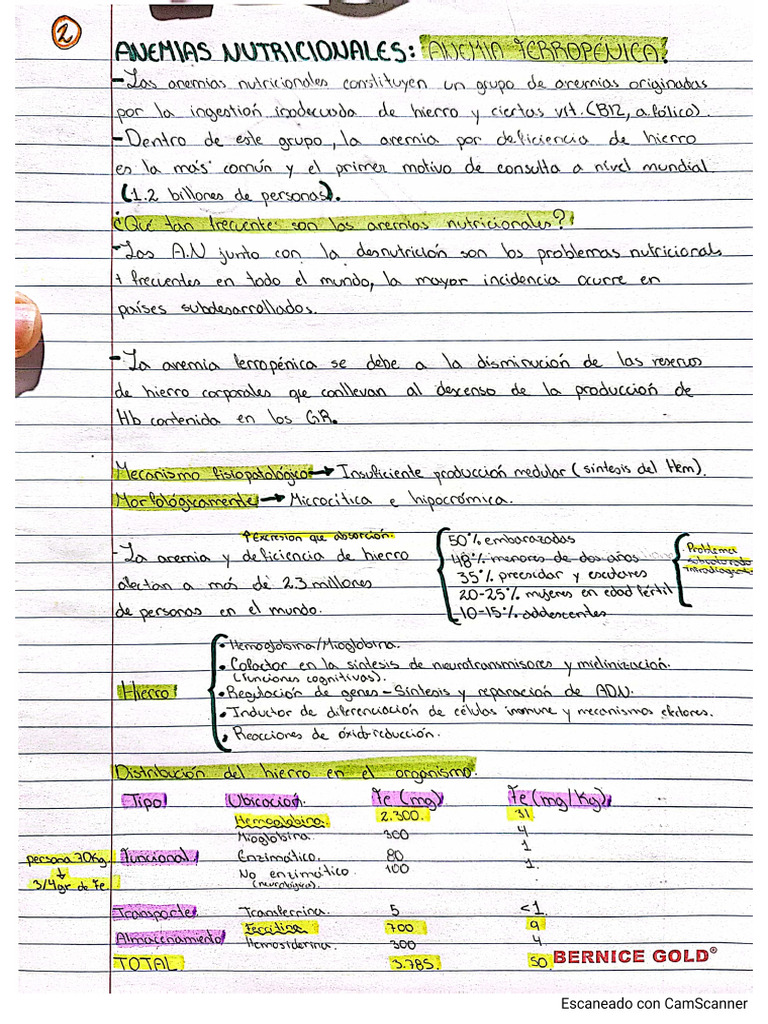 2.- Anemia Ferropénica | PDF