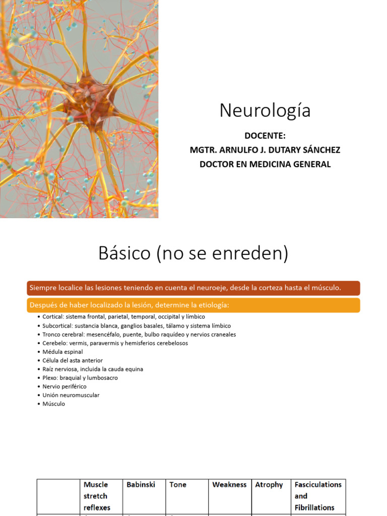 NEURO_INTRODUCCIÃ N A NEUROEJE MÃ SCULO Y UNIÃ N NEUROMUSCULAR | PDF | Sistema nervioso central ...