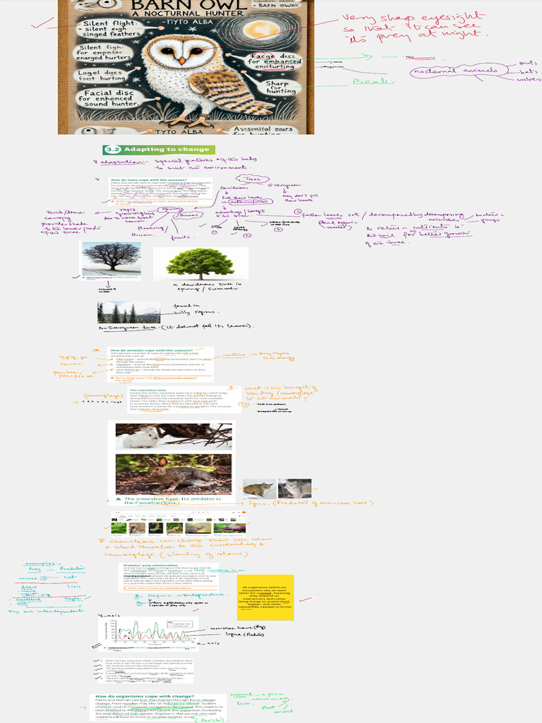 Zara - Unit 3.2 - Adapting To Change (02-03-2025) | PDF