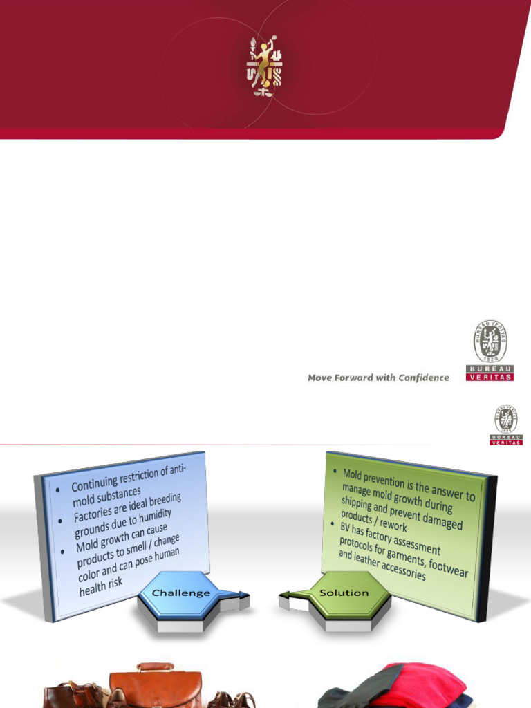 Mold Prevention Program Details BV | PDF | Mold