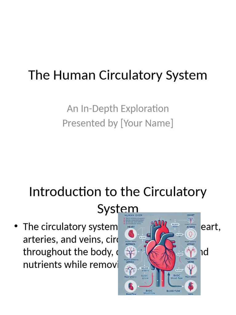 Circulatory System Presentation With Detailed Diagrams | PDF