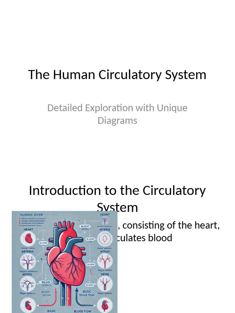 Final Circulatory System Presentation With Unique Images | PDF