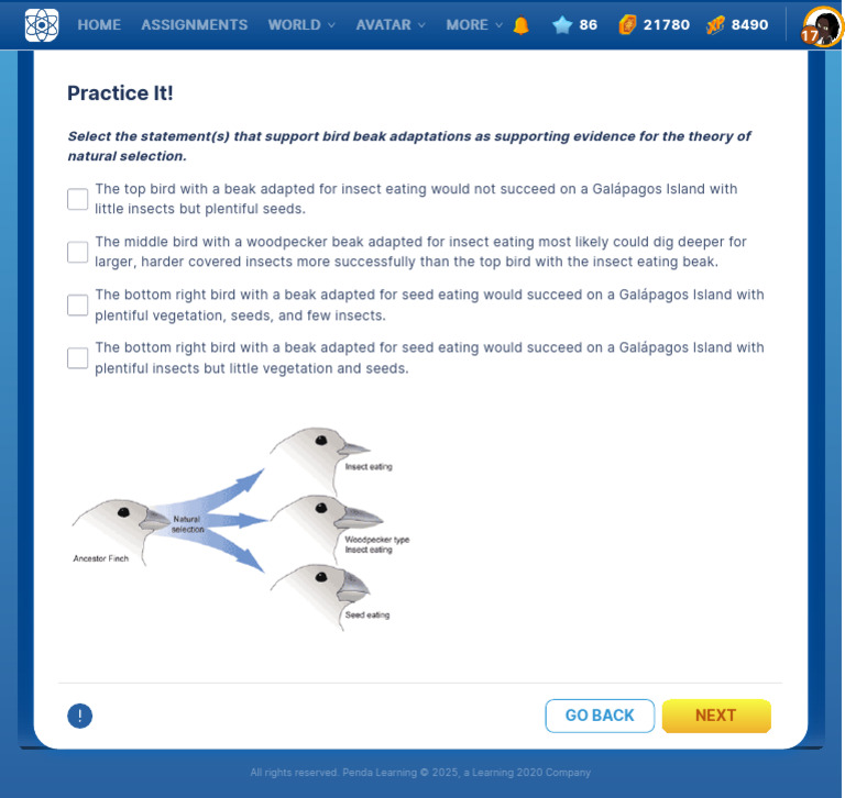 Bird Beak Adaptations and Natural Selection | PDF