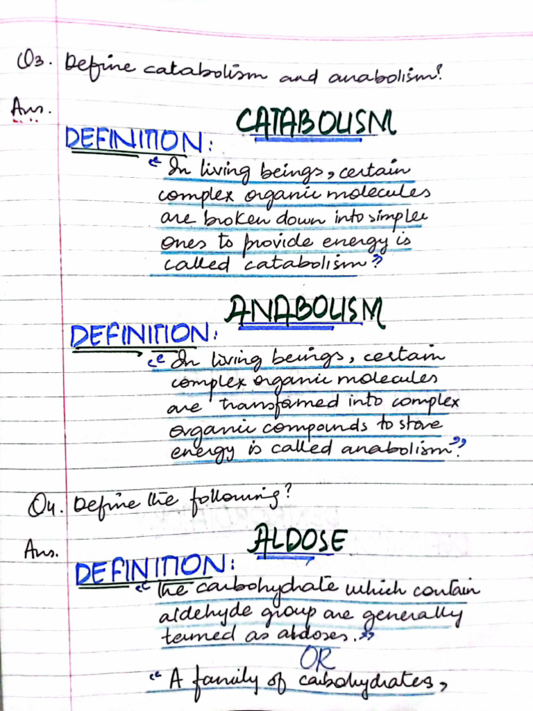Chem Chap 4 Biochemistry | PDF