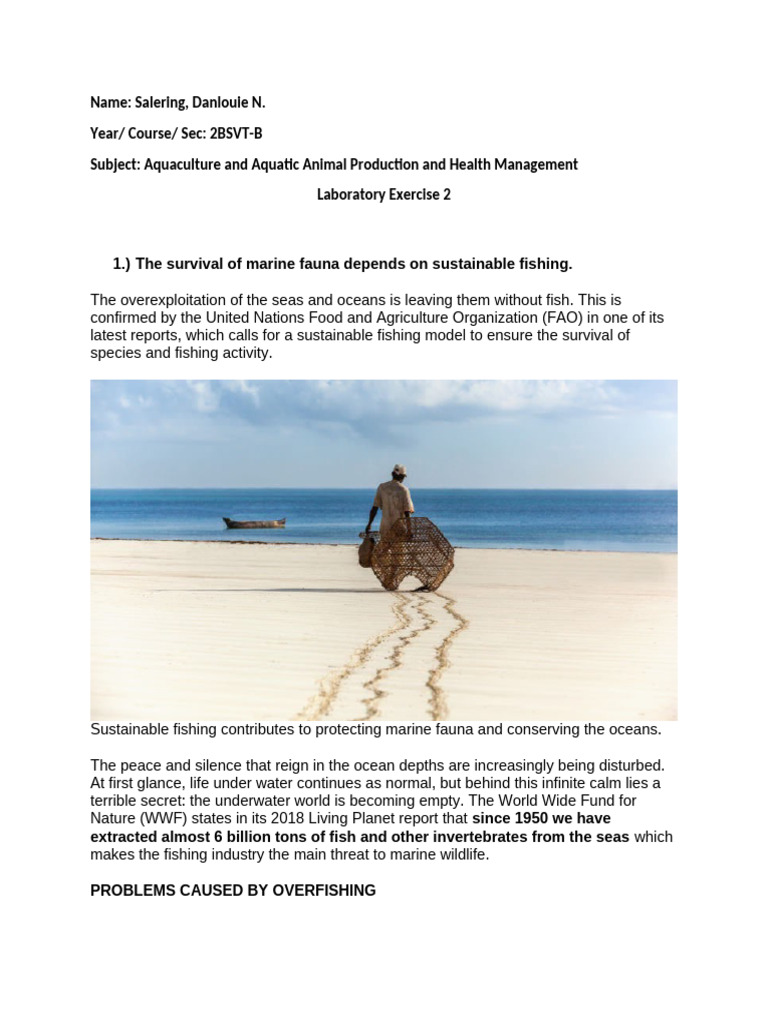 Sustainable Fishing for Marine Health | PDF | Fishery | Overfishing