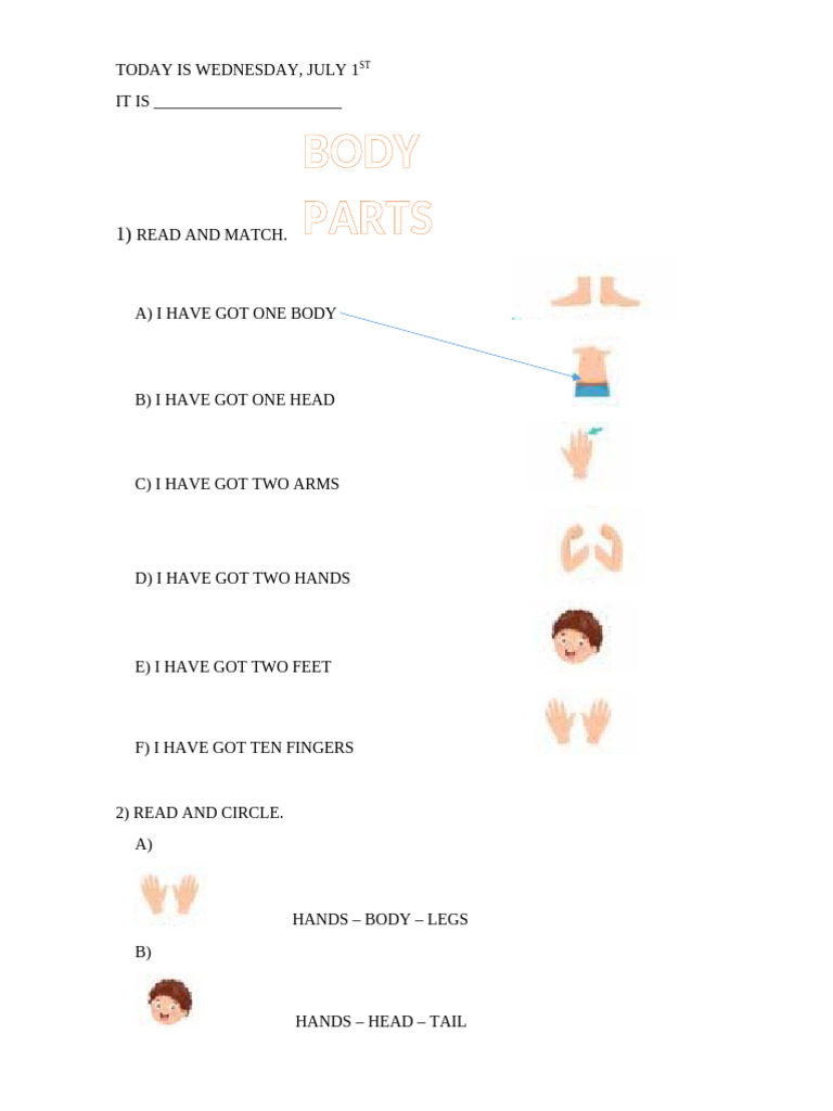 Copy Body Parts | PDF