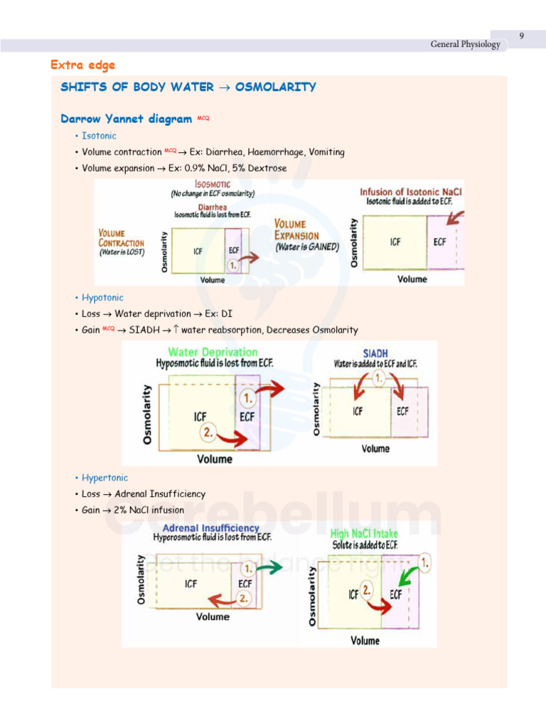 Cerebellum Physio | PDF