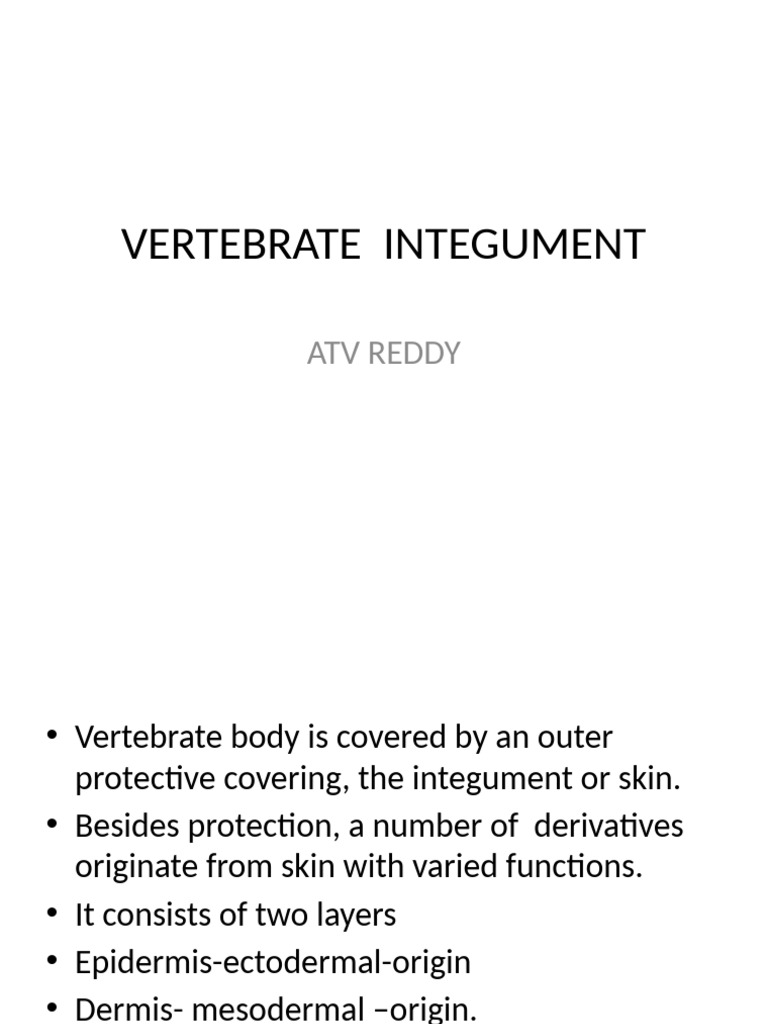 Vertebrate Integument | PDF | Skin | Integumentary System