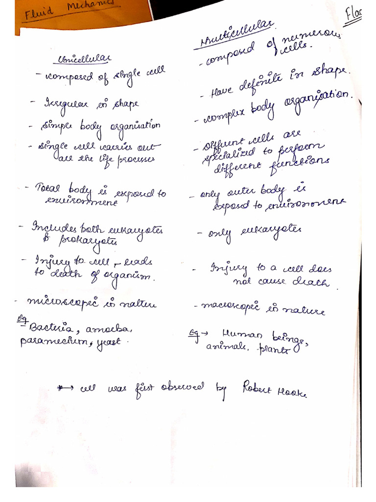Classification Hand Notes SHORT | PDF