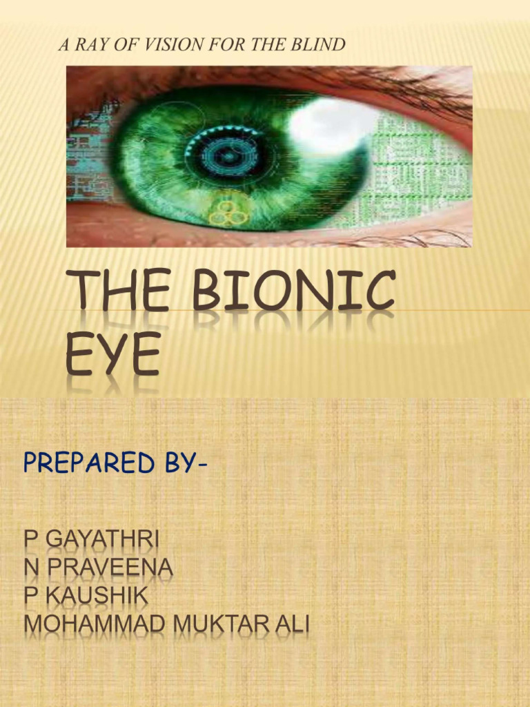 Bionic Eye | PDF