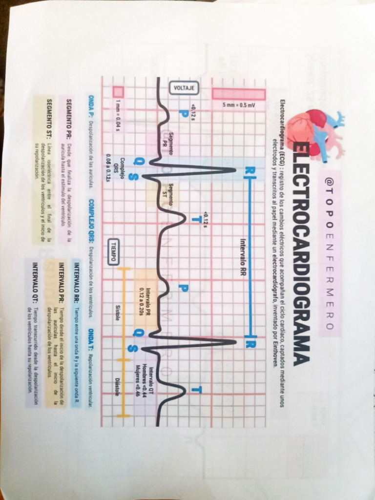 Guia de Cardiología | PDF