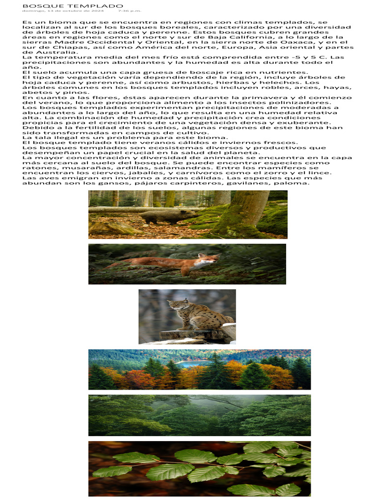 Bosque Templado de Hoja Caduca | PDF