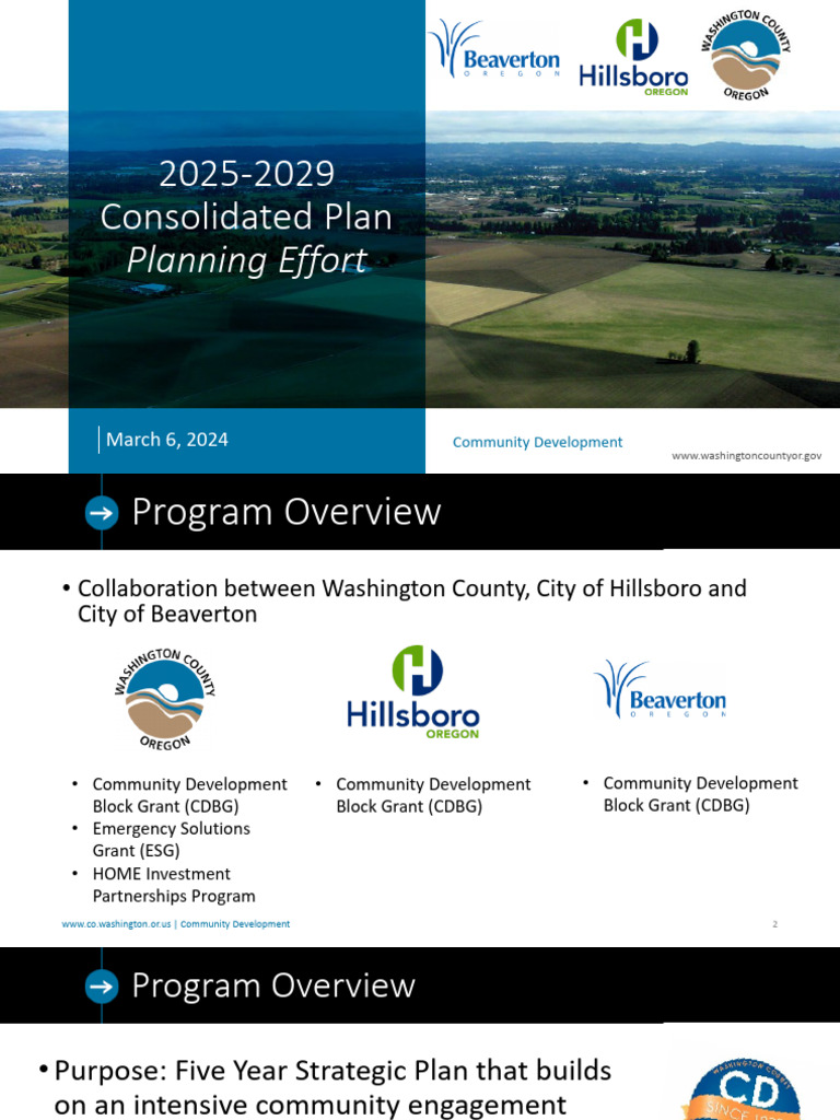 2025-2029 Consolidated Plan Overview | PDF | Community Development ...