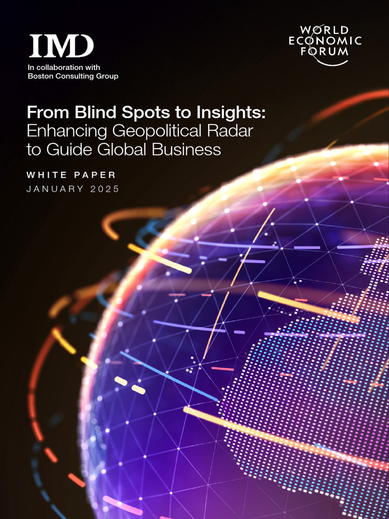 WEF From Blind Spots To Insights 2025 | PDF | Scenario Planning | Risk