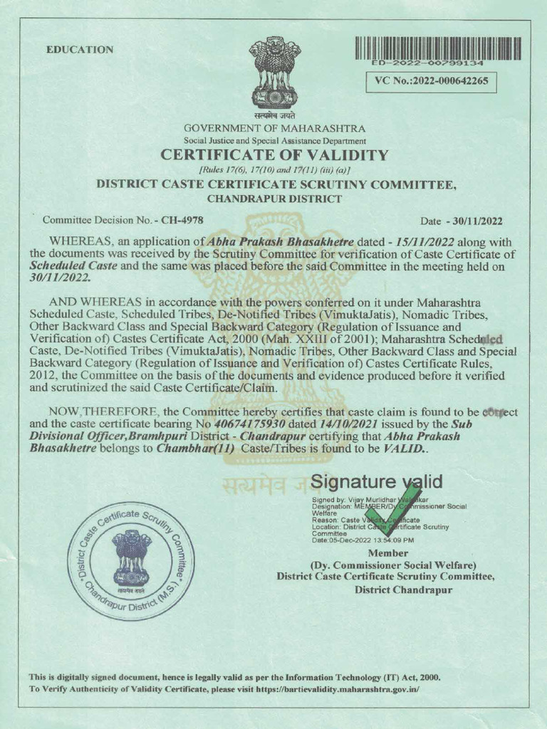 Caste Validity | PDF