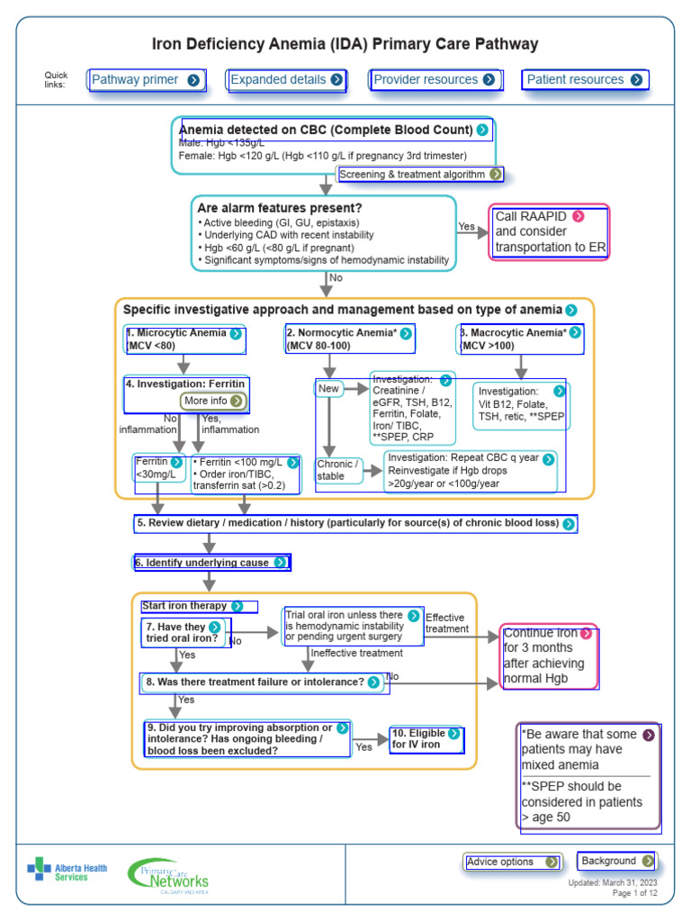Iron Deficiency Anemia Care Pathway | PDF | Anemia | Dose (Biochemistry)