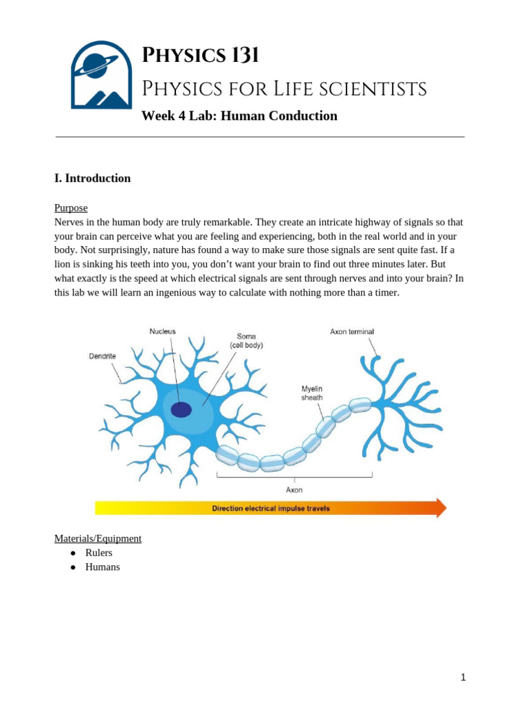 Physics For Life Scientists - Human Conduction (Online) - 4 | PDF ...