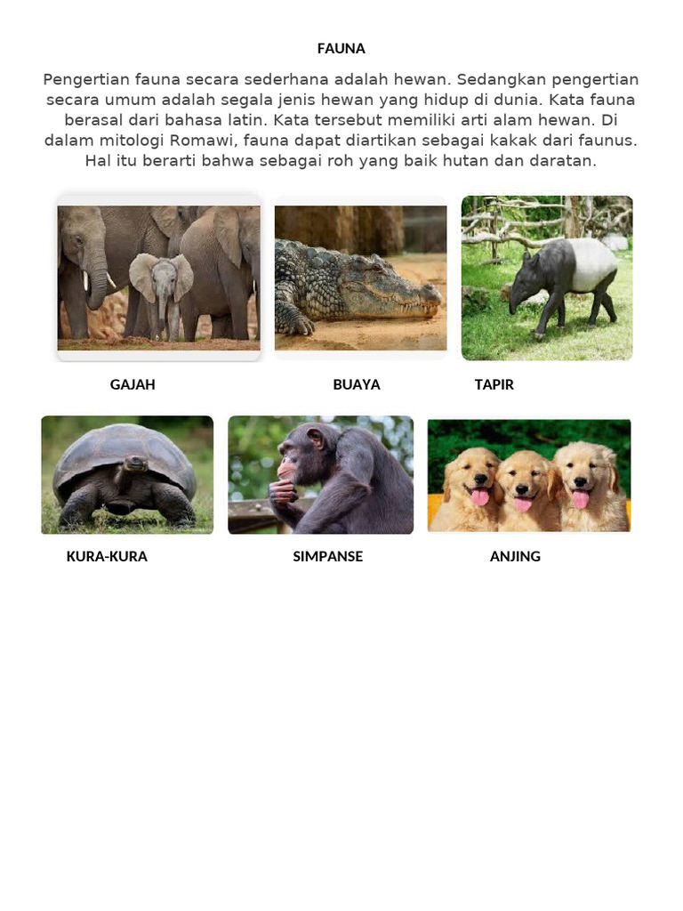 Pengertian Fauna dan Flora | PDF