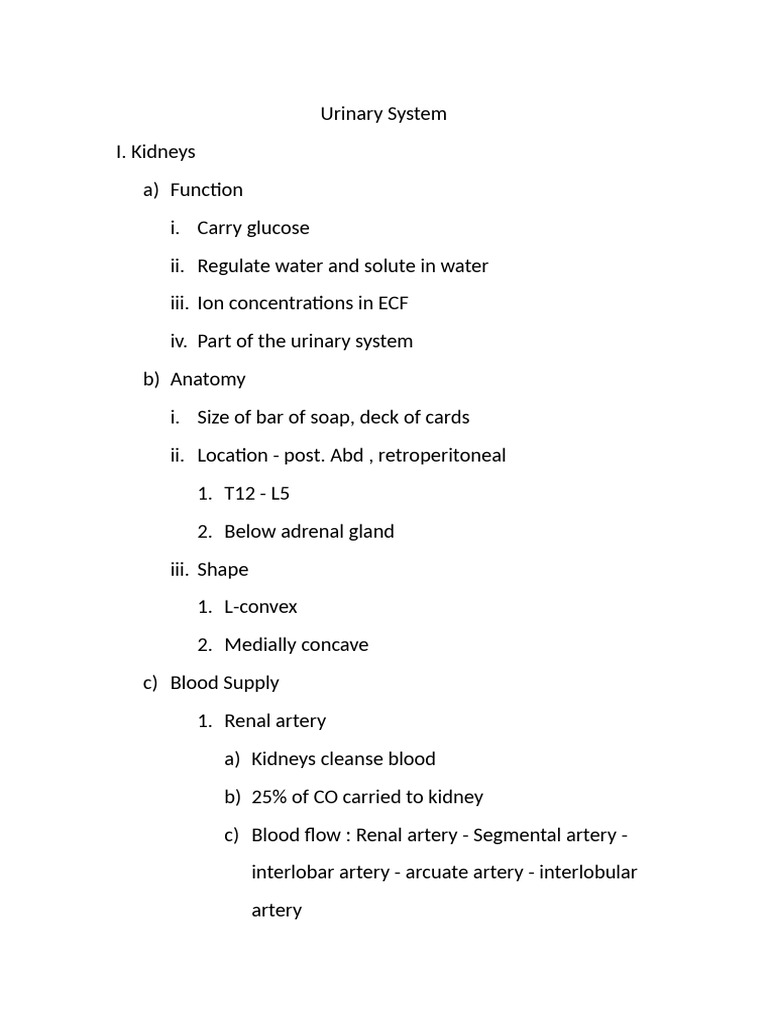 Urinary System | PDF | Kidney | Animal Anatomy