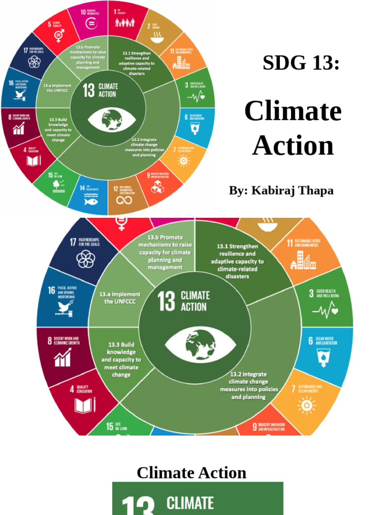 Climate Action: Understanding SDG 13 | PDF