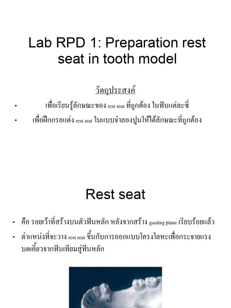 Brief Lab RPD1 - Rest Seat in Mini-Model | PDF