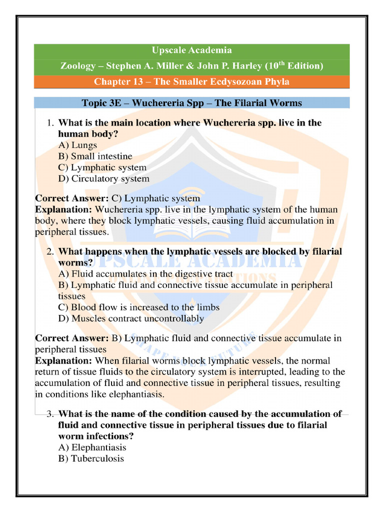C13 - S13.2 Topic 3e | PDF