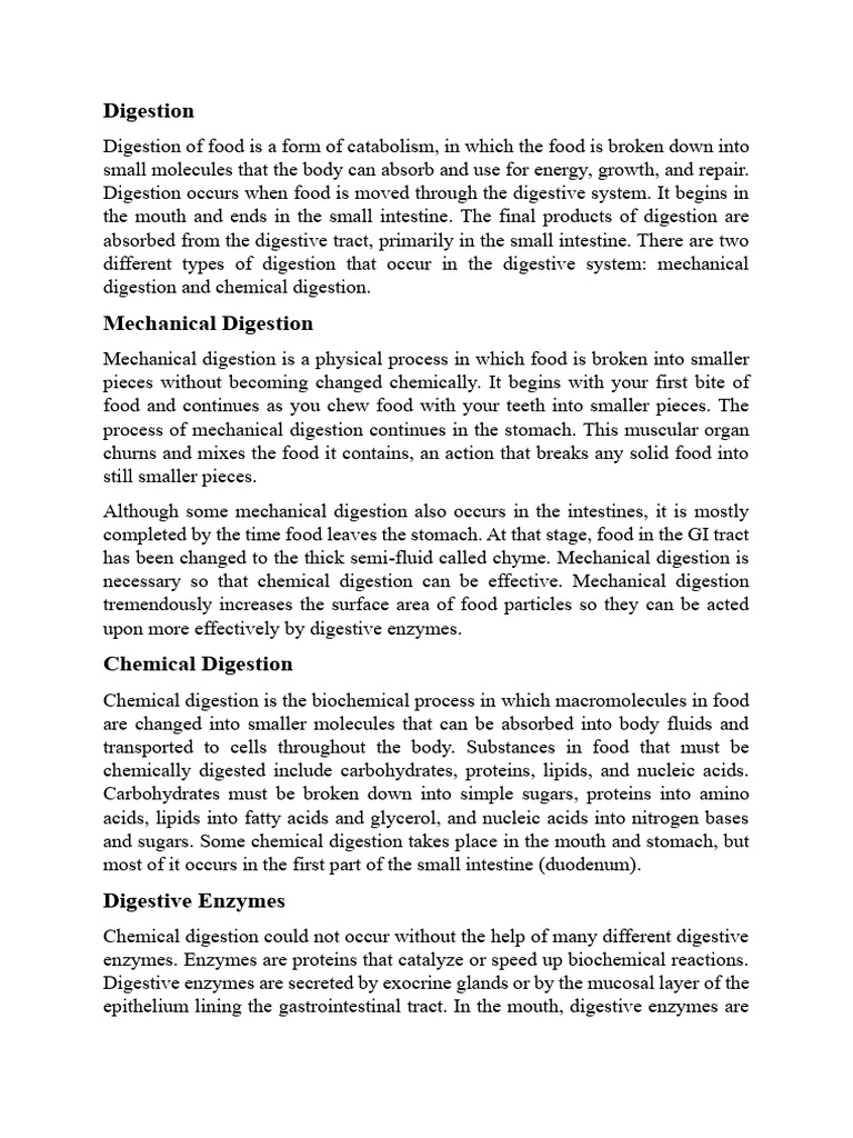 Mechanical and Chemical Digestion Explained | PDF | Digestion ...