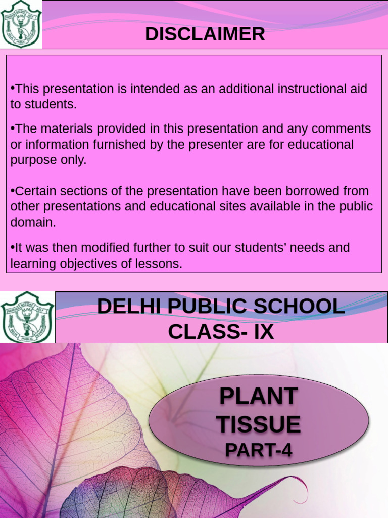 Class 9_Bio_PPT 4 _Ls No. 6_ Plant tissue | PDF | Tissue (Biology ...