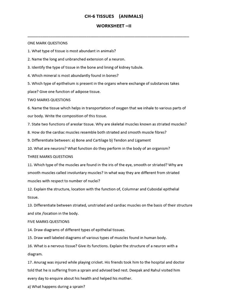 Animal Tissue Types and Functions Worksheet | PDF | Muscle | Tissue ...