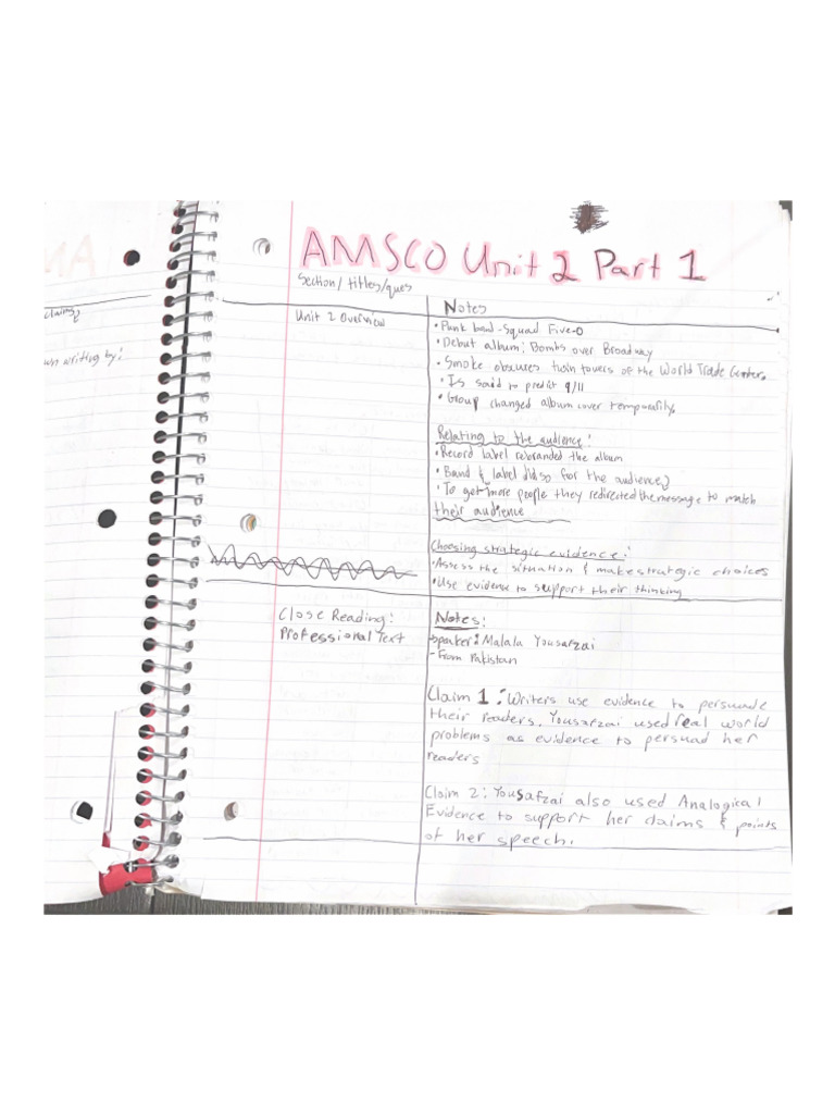 AP English AMSCO Notes | PDF