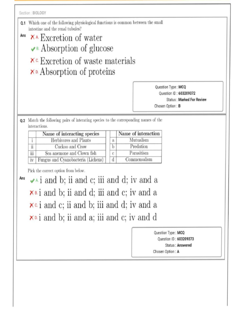 IAT 2021 PYQ & Answer Key | PDF